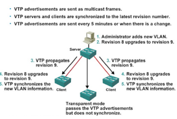 All about VTP: Virtual Trunking Protocol, VTP2, VTP3 on Cisco Devices - The Network DNA