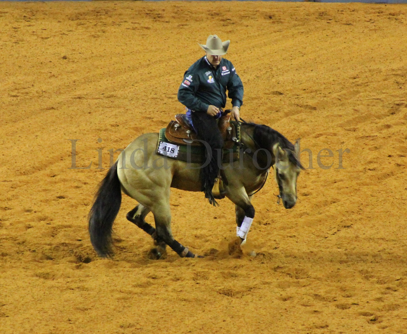 News feed and press release: NRHA Open Futurity finals Shots by Linda ...