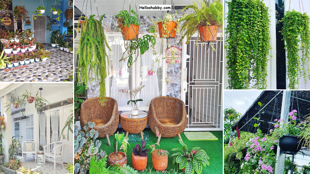 6 Jenis Bunga Gantung di Teras Rumah yang Bikin Rumah Jadi Adem ...