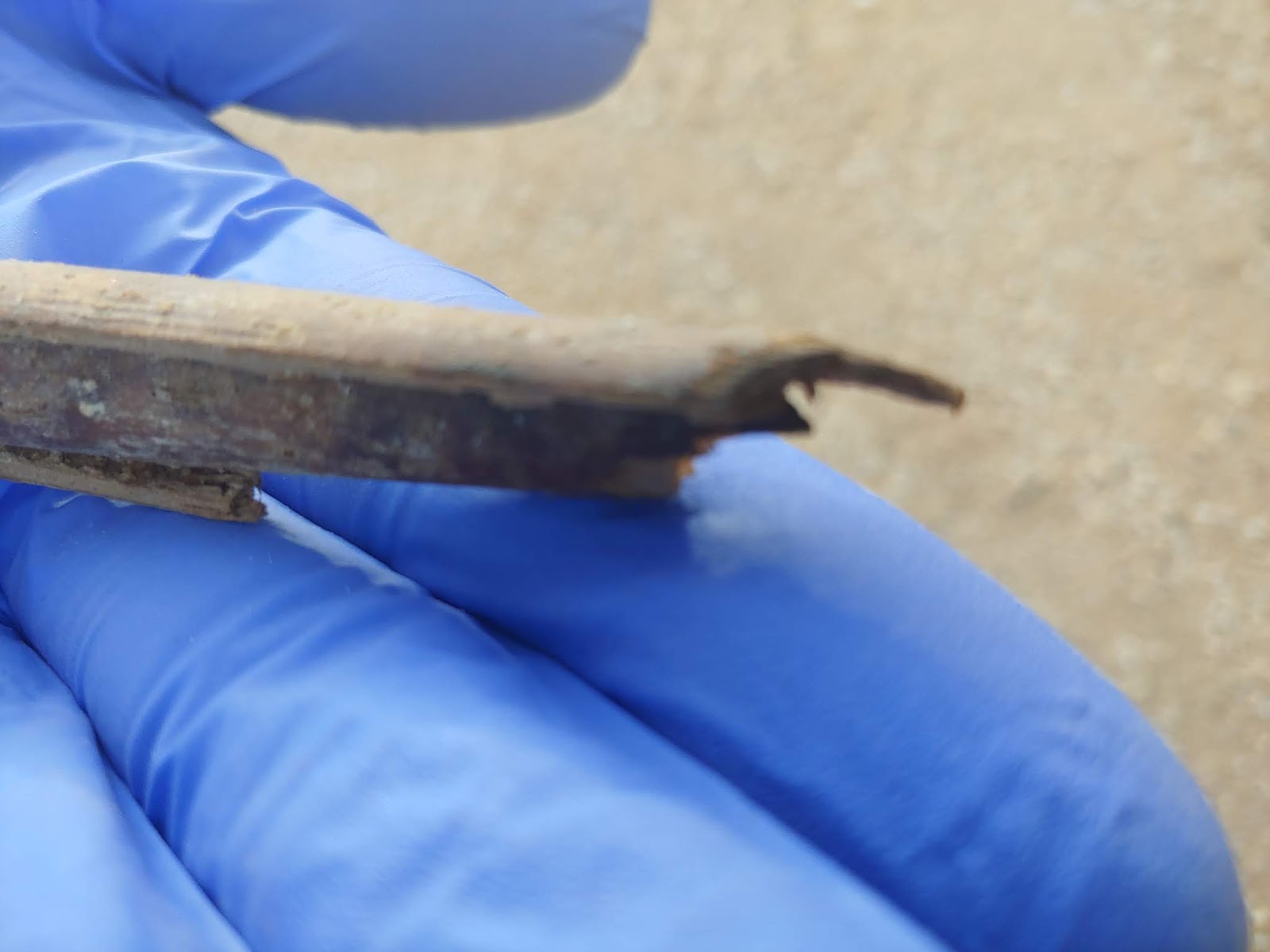 Lovelock Cave Series: Inconsistencies Found in Smithsonian's "Narrative"