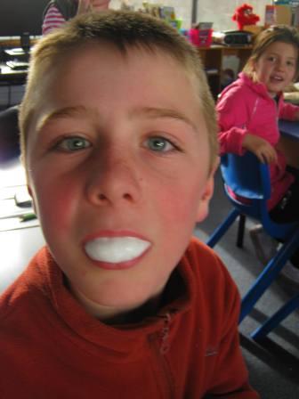 Room 4 Lawrence Area School 2011: Foaming at the Mouth - Sherbet