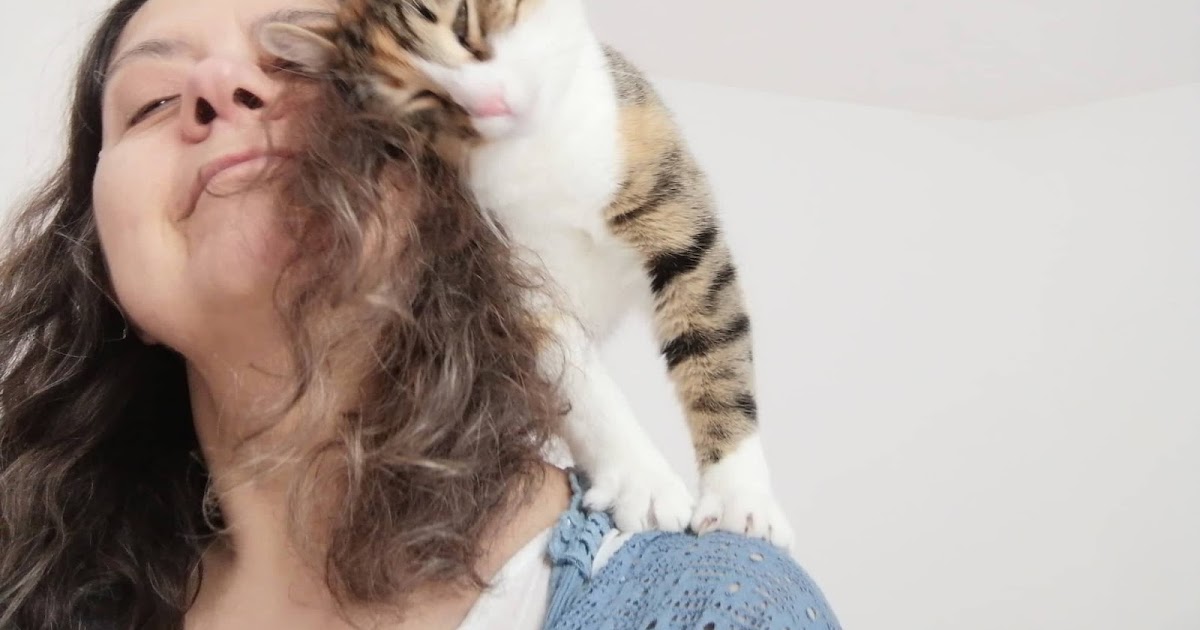 Котанката Гуни и други котета