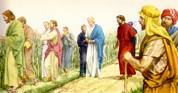 La vida y las enseñanzas de Jesús de Nazaret.: El regreso a Capernaum.