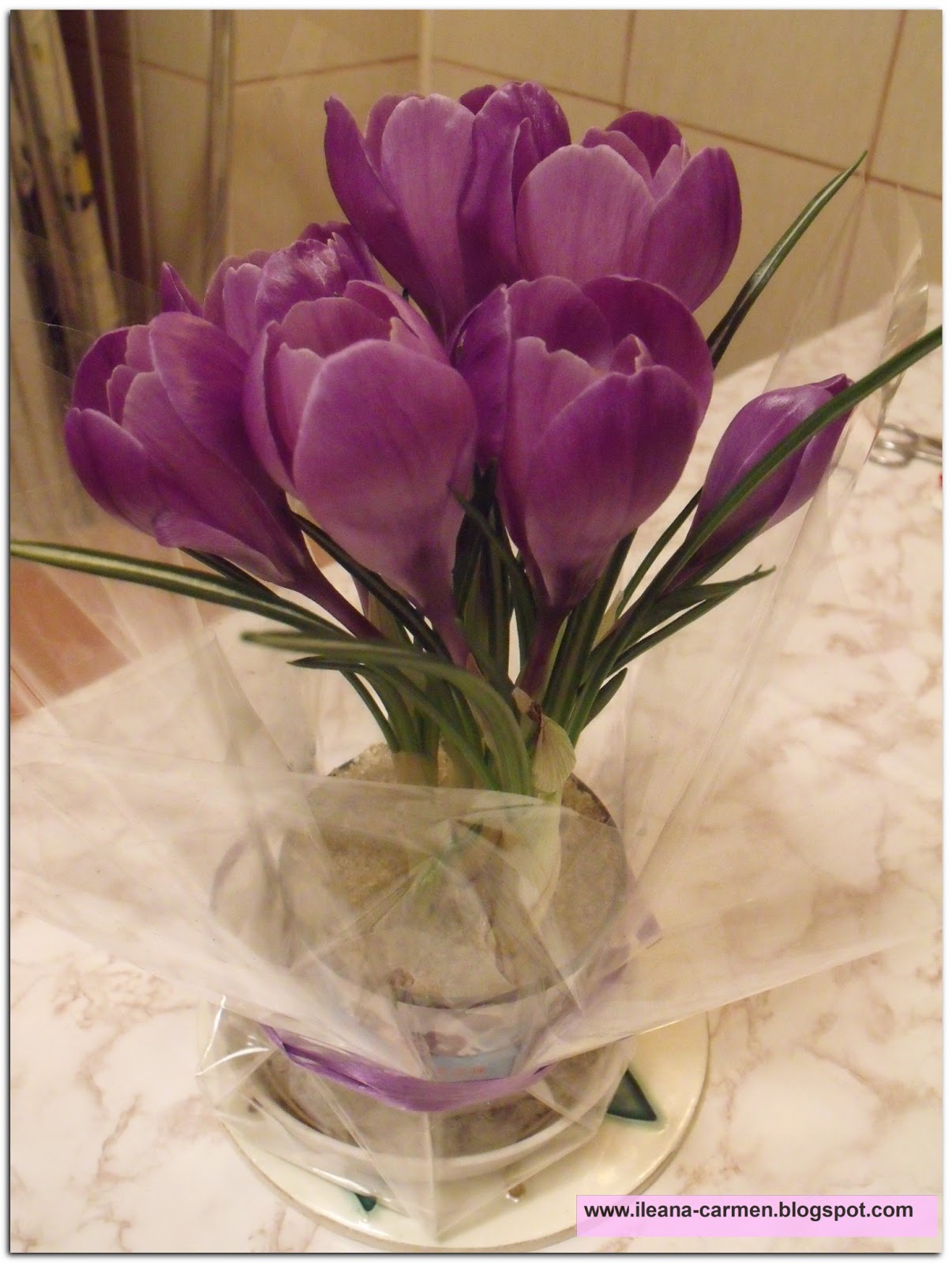 hobbies: TUTORIAL - 3d Crocuses Made by Quilling Method