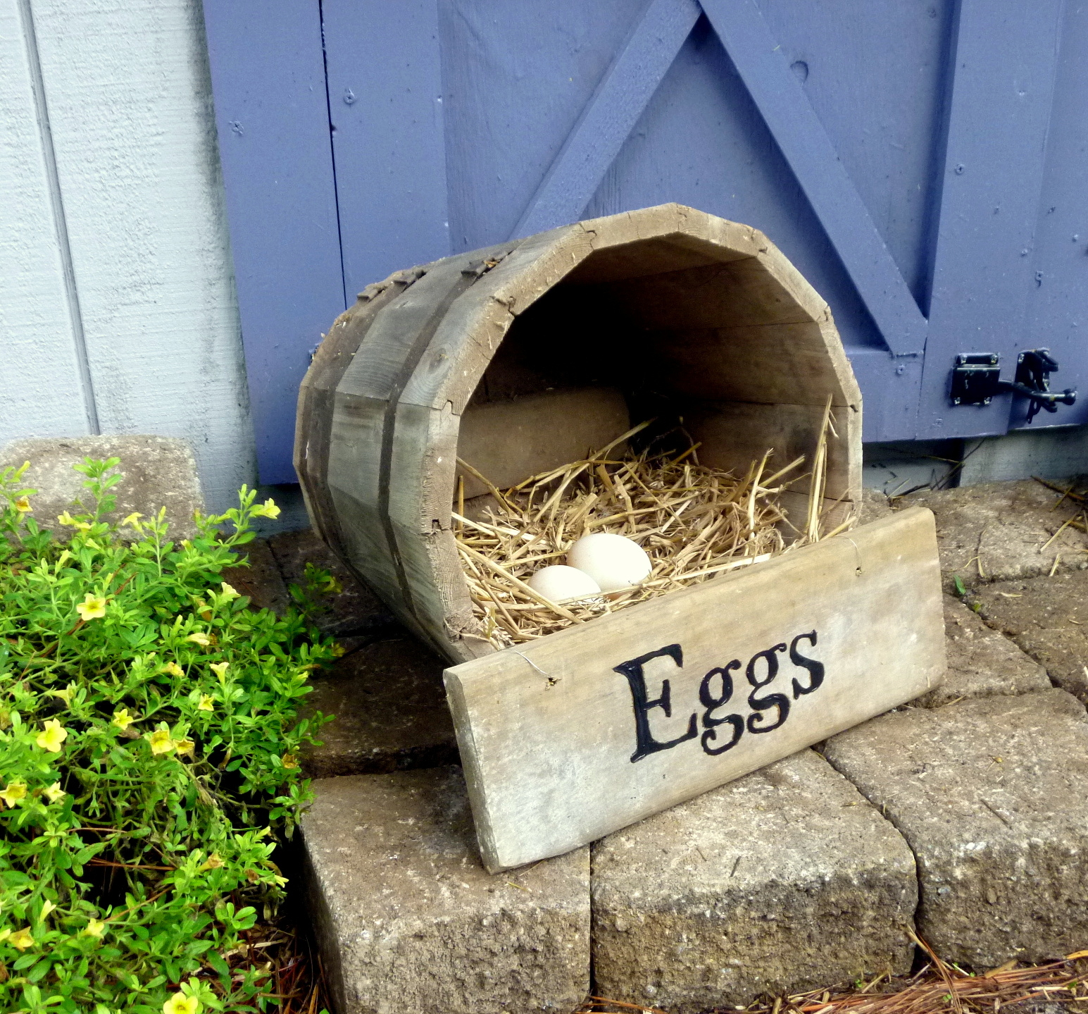 DIY Wine Barrel Chicken Nesting Box - Fresh Eggs Daily® with Lisa Steele