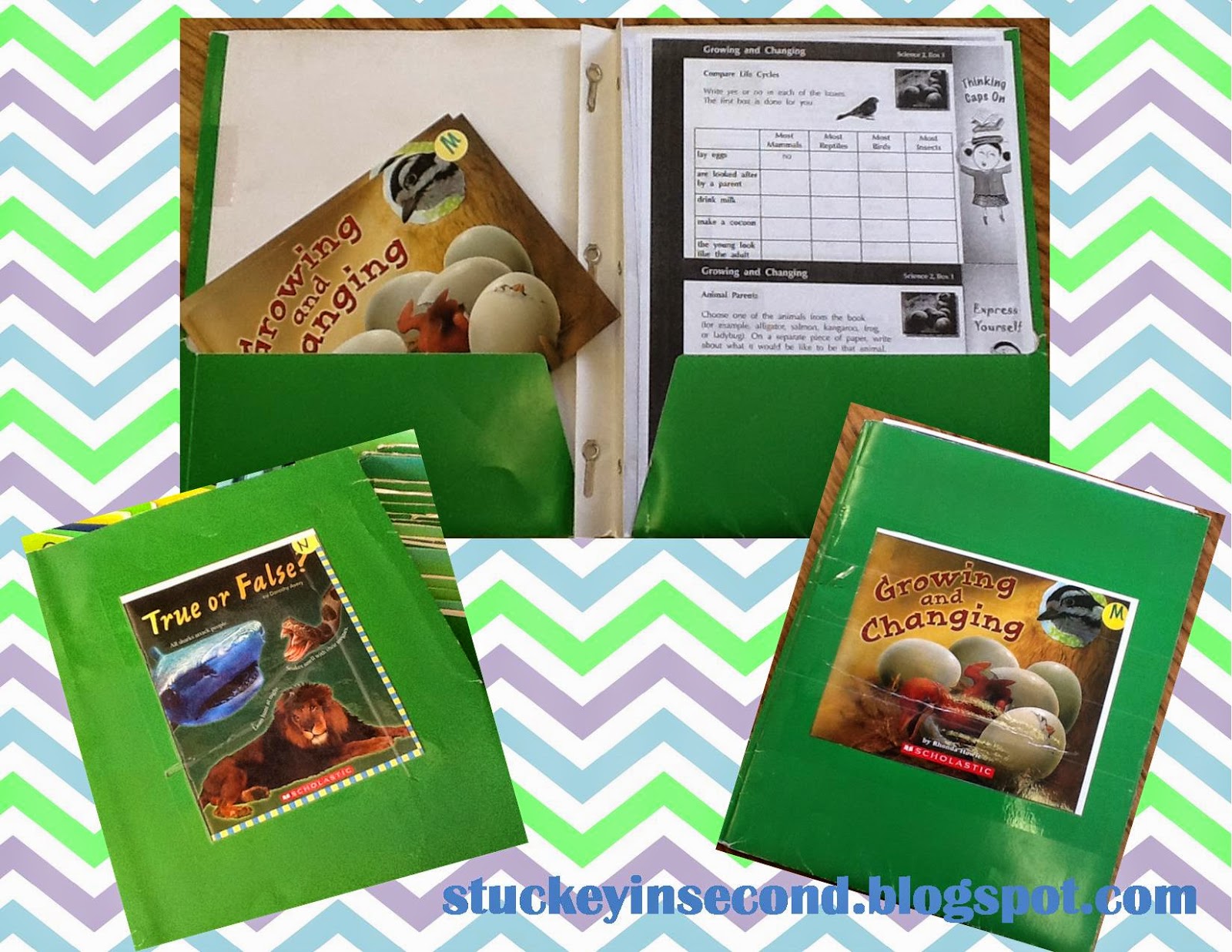 Stuckey in Second: Workstation Wednesday: Scholastic Brain Bank