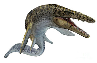 Entorno: Mosasaurus