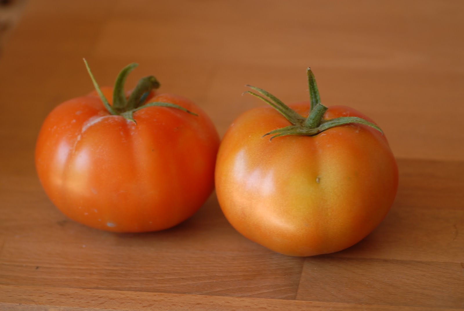 Huerto: Tomates 2010