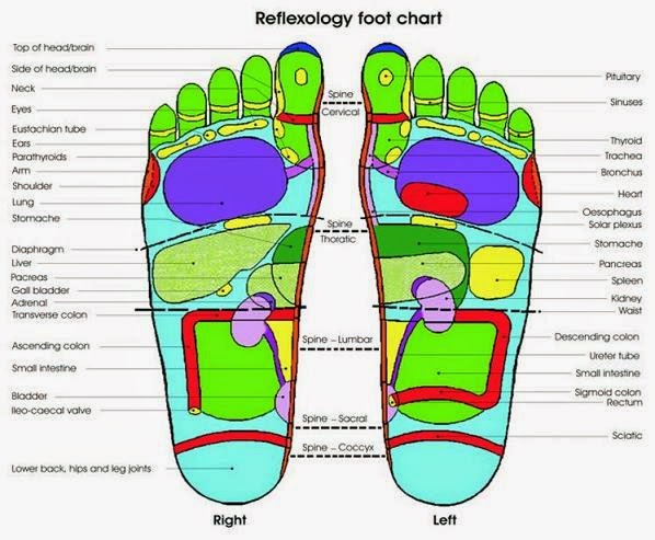 Carta Urut Kaki Reflexologi - Abang Urut