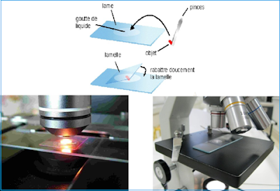 Les différents types des microscopes - Optique , Photonique ...