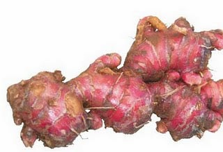 Manfaat Jahe Merah untuk Kesehatan | Herbal Wikipedia