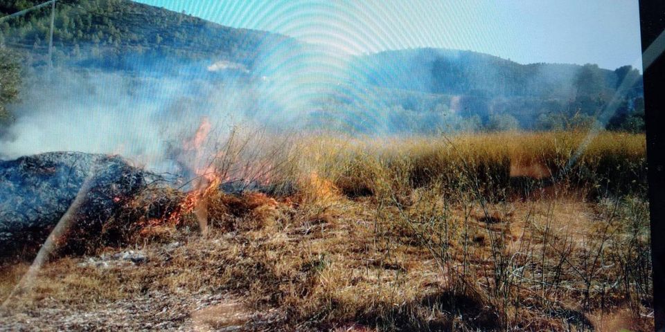 Una quema descontrolada afecta a 4.000 metros cuadrados de campos en ...