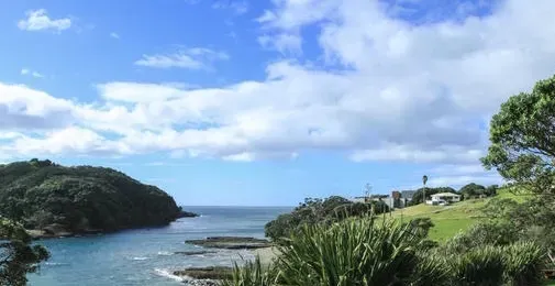 Best of Goat Island, New Zealand (with Map & Photos)
