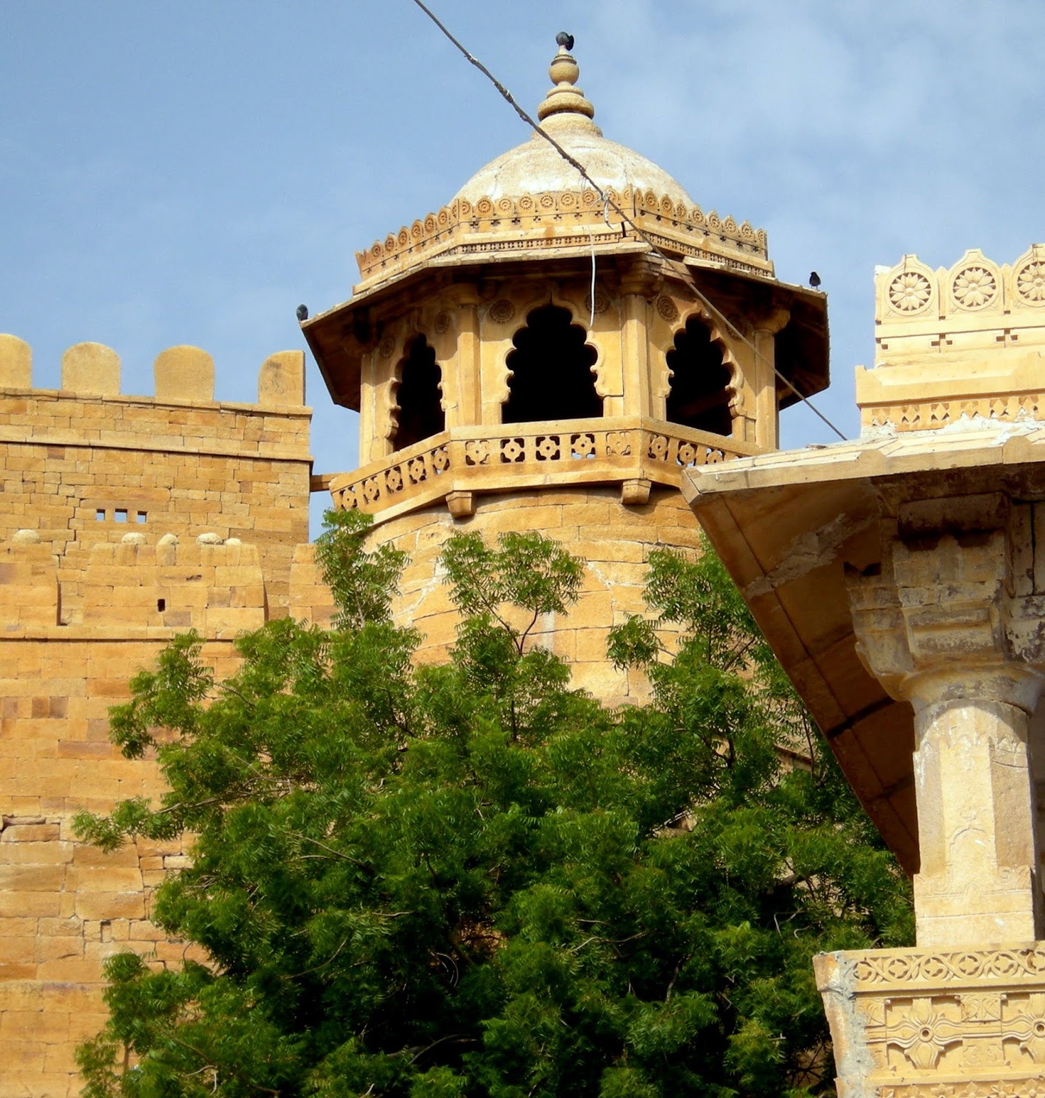 The Mathematical Tourist: Neem Tree