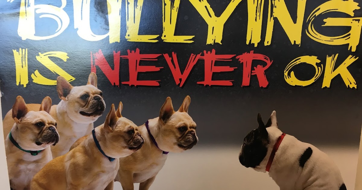 Humane Rescue Alliance's Blog 4 Kids, Educators and Everyone Else Who ...