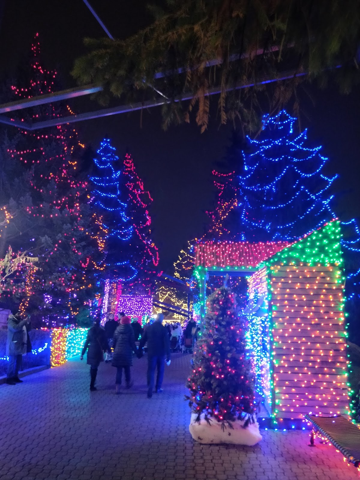 Cultured Individual: WinterFest at Canada's Wonderland: Straight Out Of ...