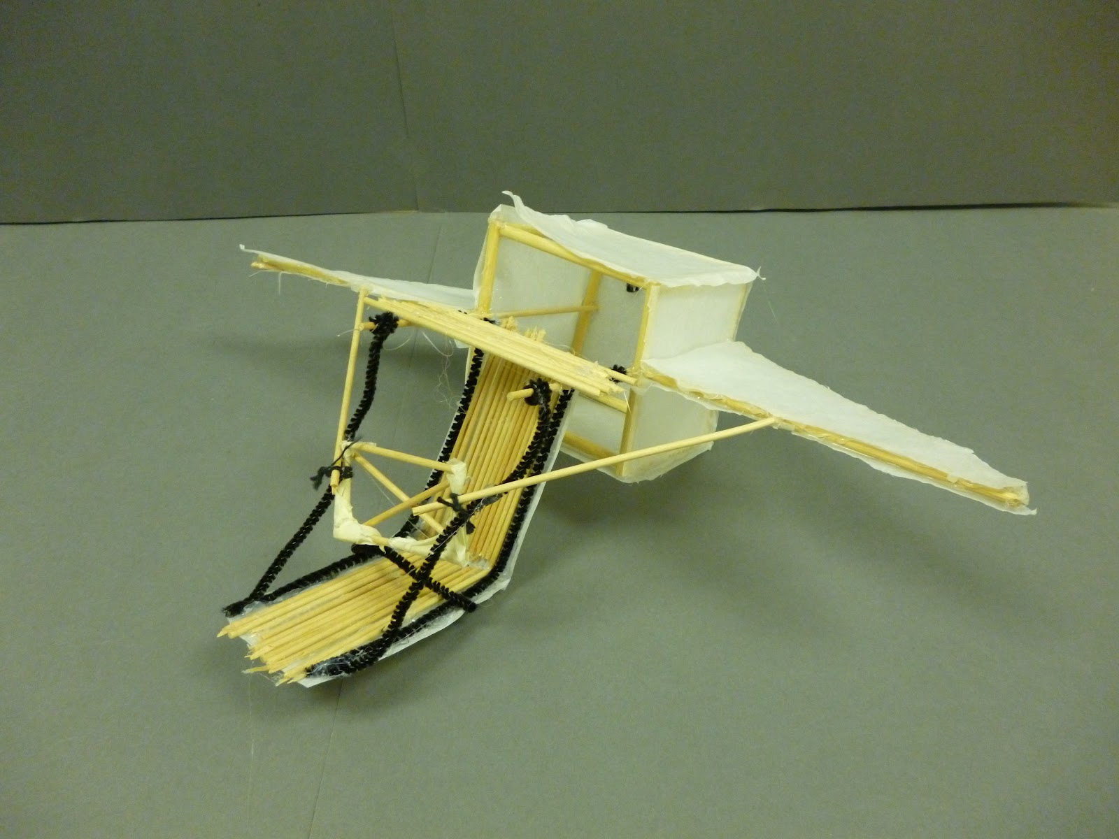 Leonardo Da Vinci Flying Machines