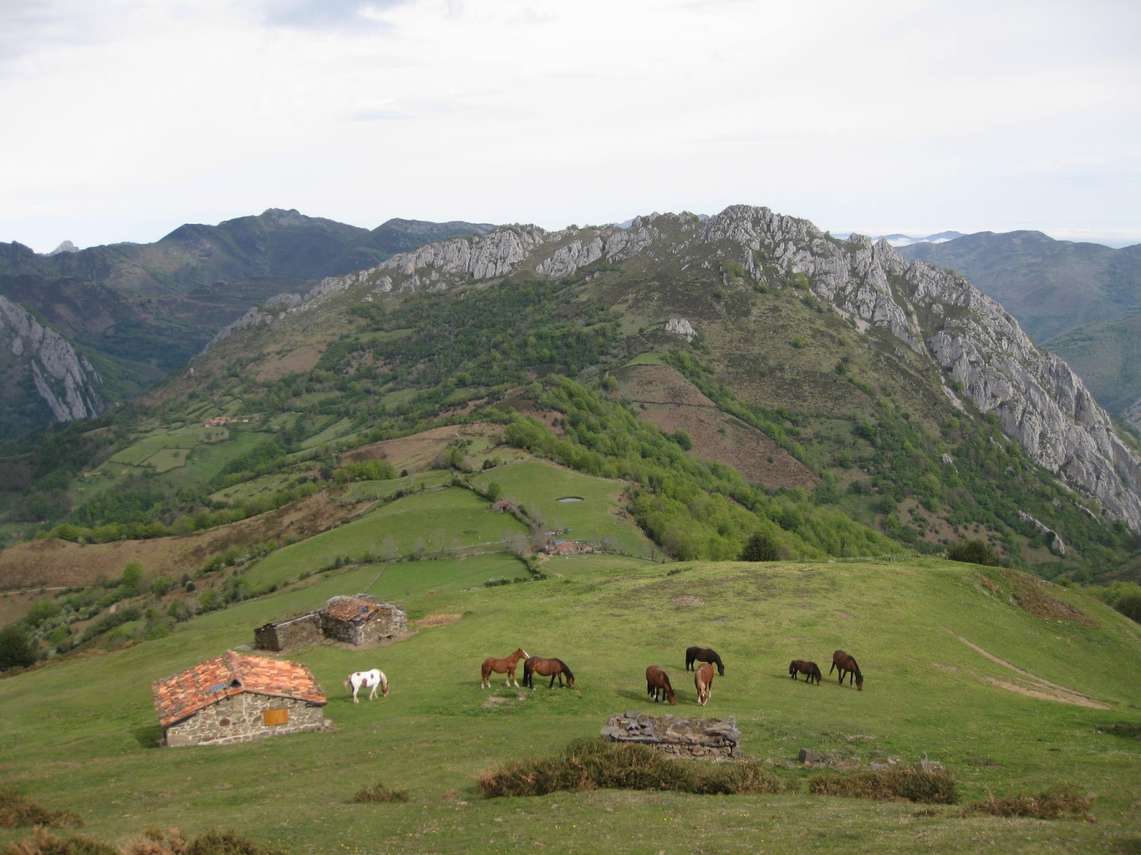 Infofanatic: Parque Natural de Redes, Asturias.
