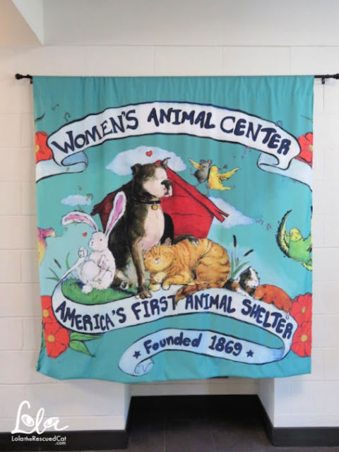 Women's Animal Center - America's First Animal Shelter! | Lola The ...