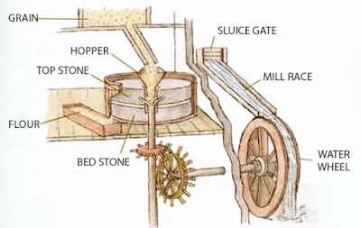 Ancestor Biographies: Miller on the Connecticut Coast — Francis Bushnell