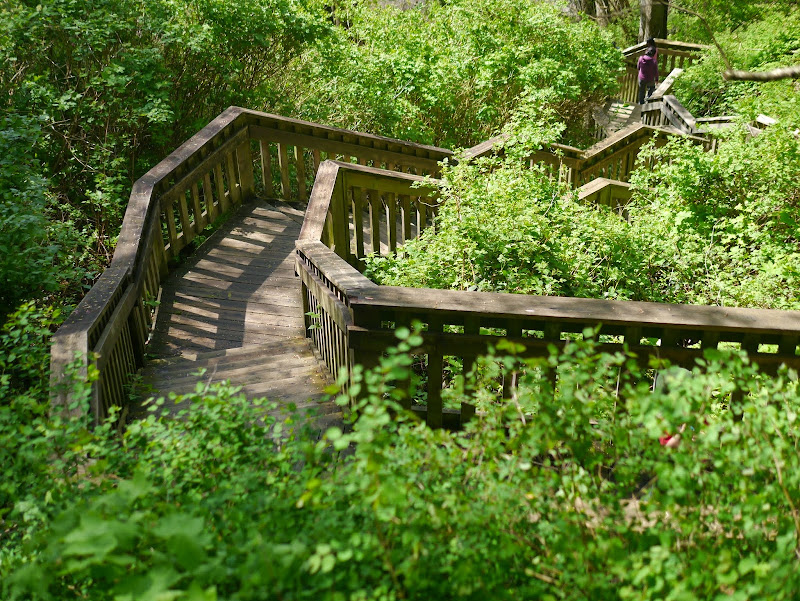 1001 Steps to the Beach – Backwoods Mama