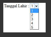 Bentuk Dasar Form Pada HTML | Blogger Modis
