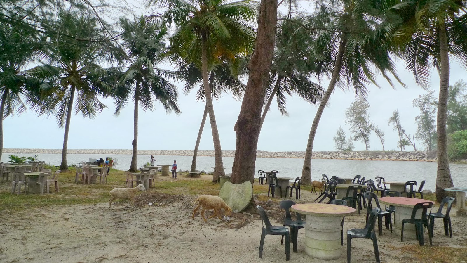 Kee Hua Chee Live!: BEAUTIFUL BEACH AT BACHOK, KELANTAN WHICH IS MY ...