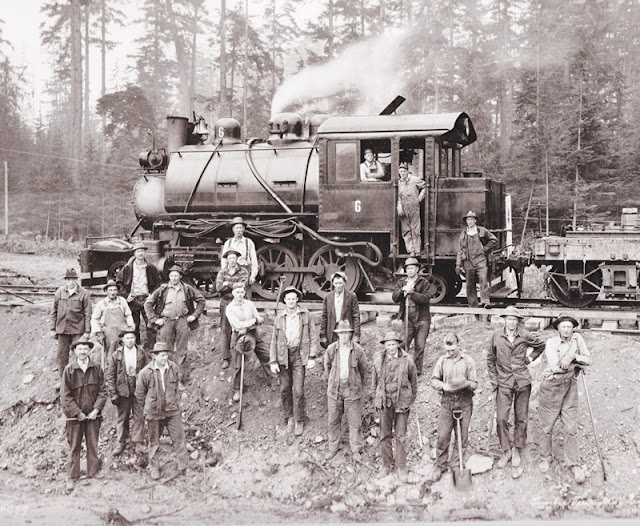 Amazing Vintage Photographs Document Logging and Lumber Activities in ...