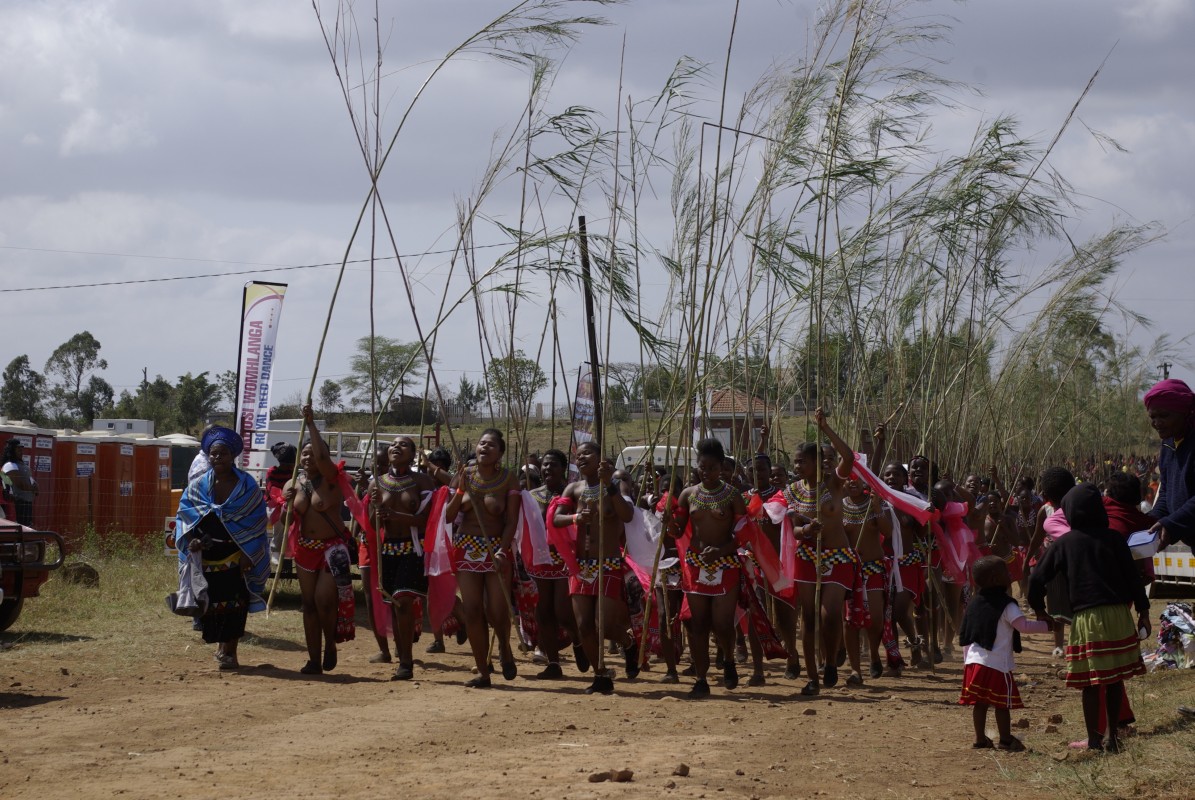 Christian in Africa: Reed Festival