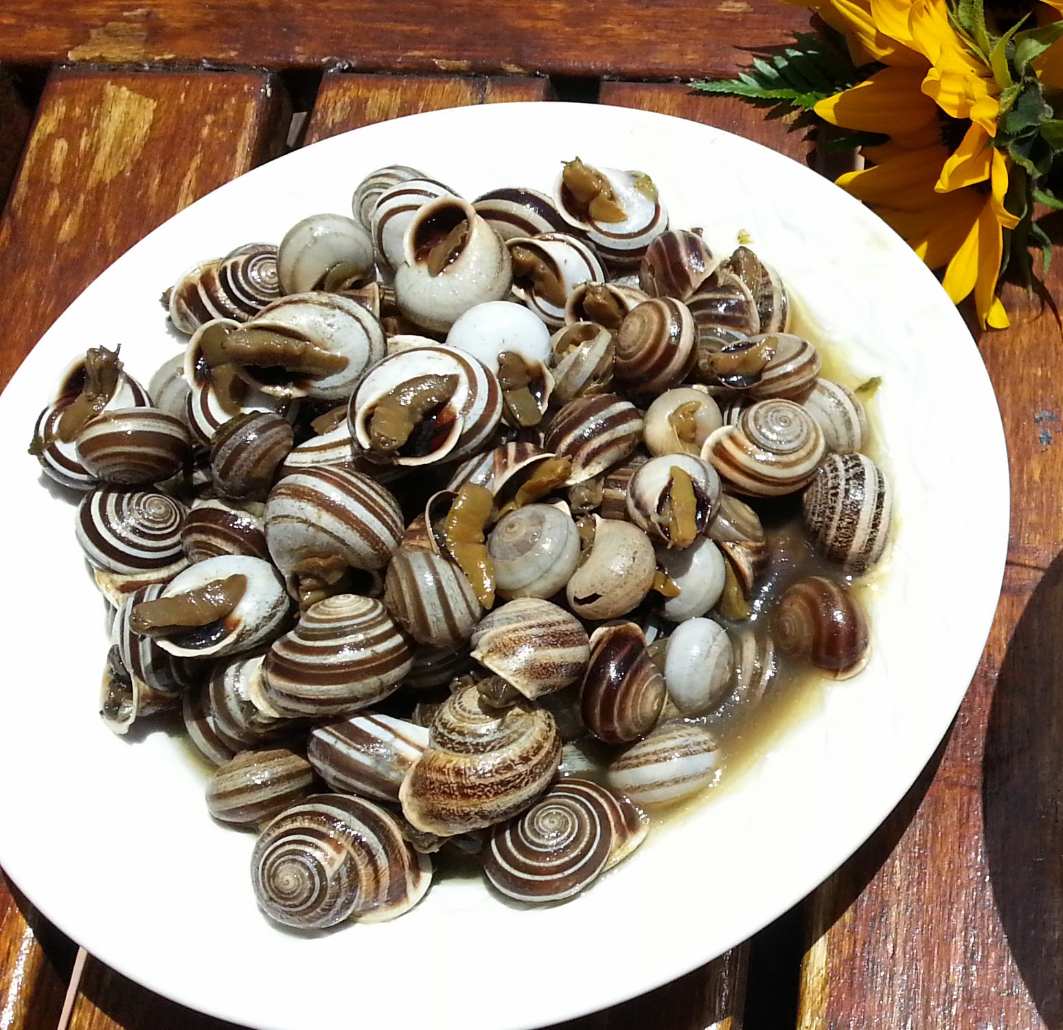 Caracóis: o petisco do verão! - Deliciosa Paparoca