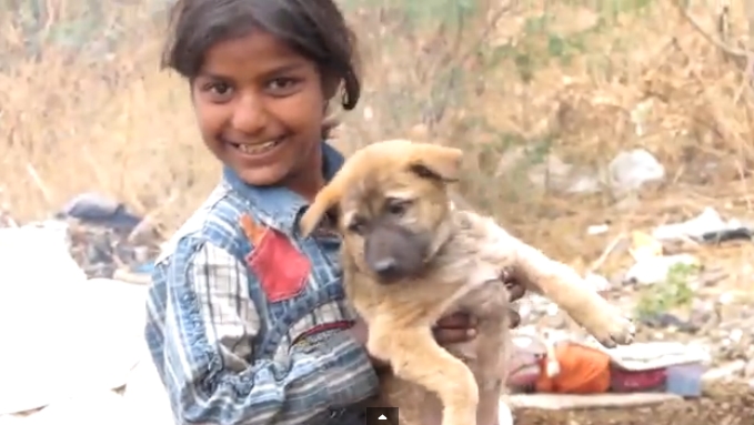 White Wolf : Extremely Poor Family In India Helps Homeless Dogs (VIDEO)