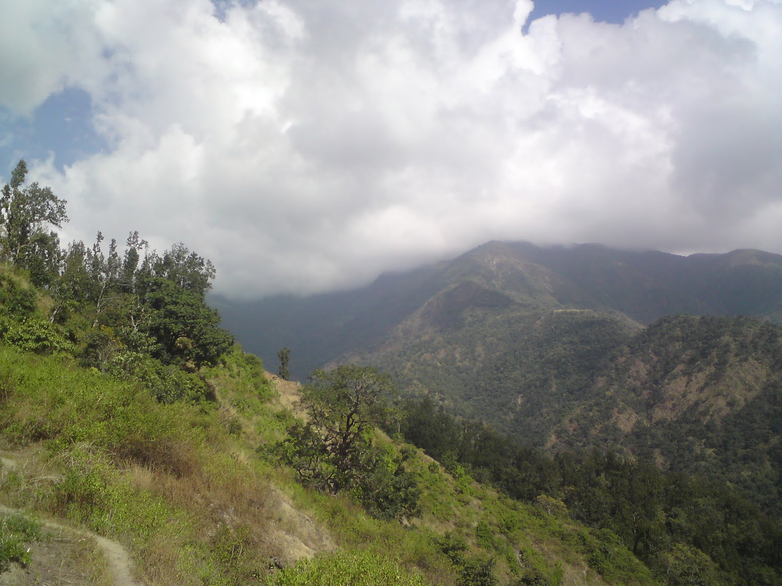 Puneet's Travel Blog.: A little about village Bidholi