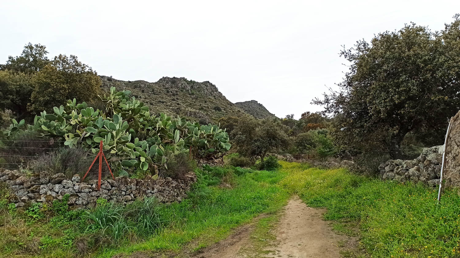 Diarios de una Mochila: Cerro San Gregorio - Santa Cruz de la Sierra ...