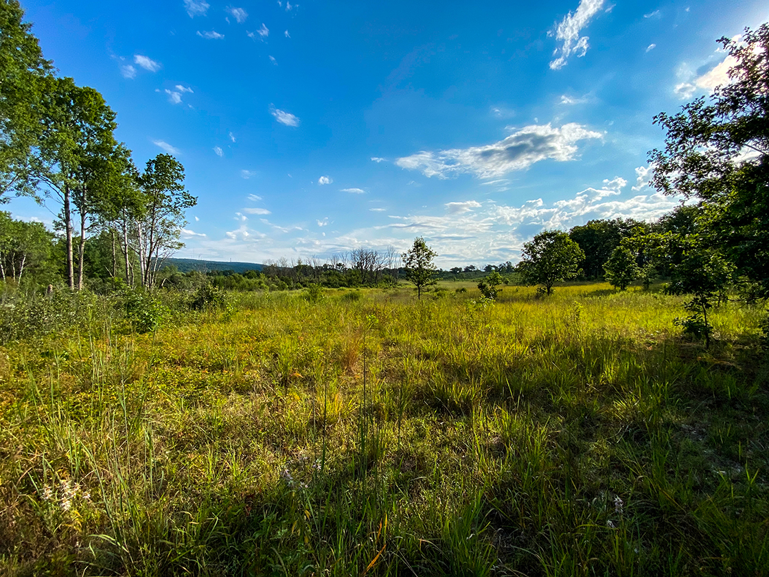 Hiking the Merrrimac Preserve Trails