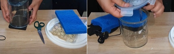 How To Build a Homemade DIY Canister Filter For Fish Tank