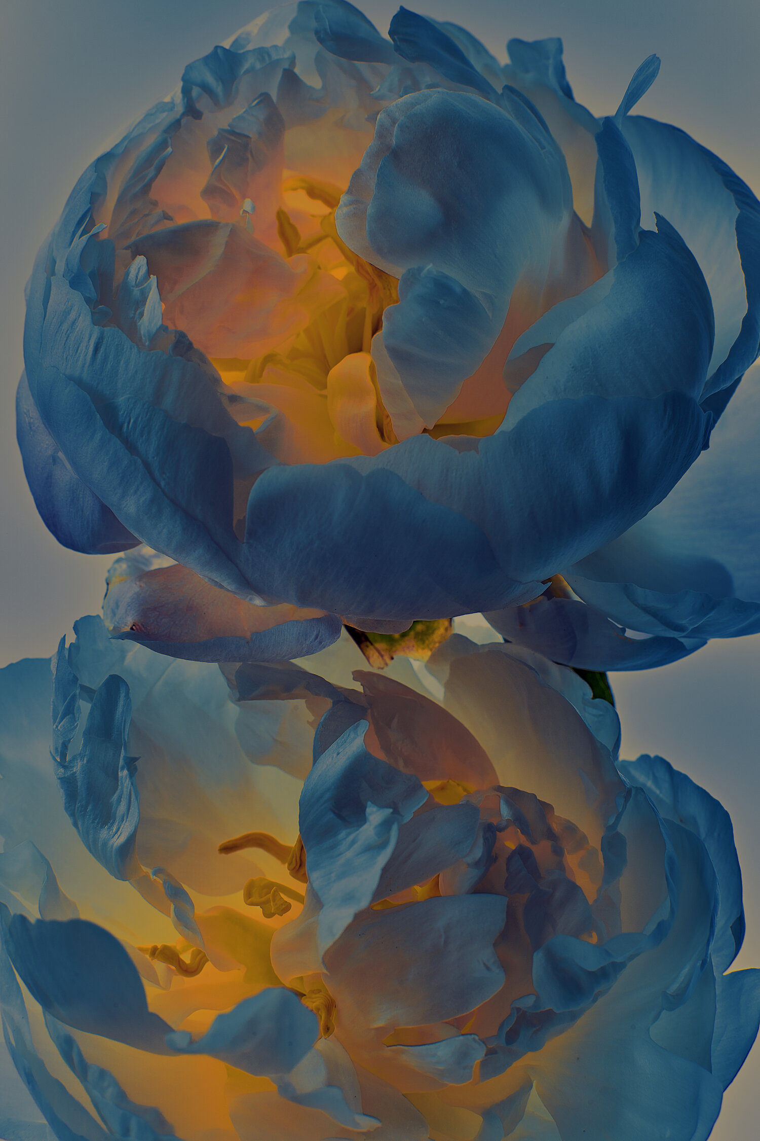 Billy Kidd, 1980 | Fine art Photographer | Tutt'Art@ | Masterpieces