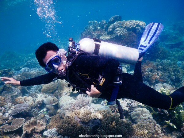 Raja Ampat Club: July 2019