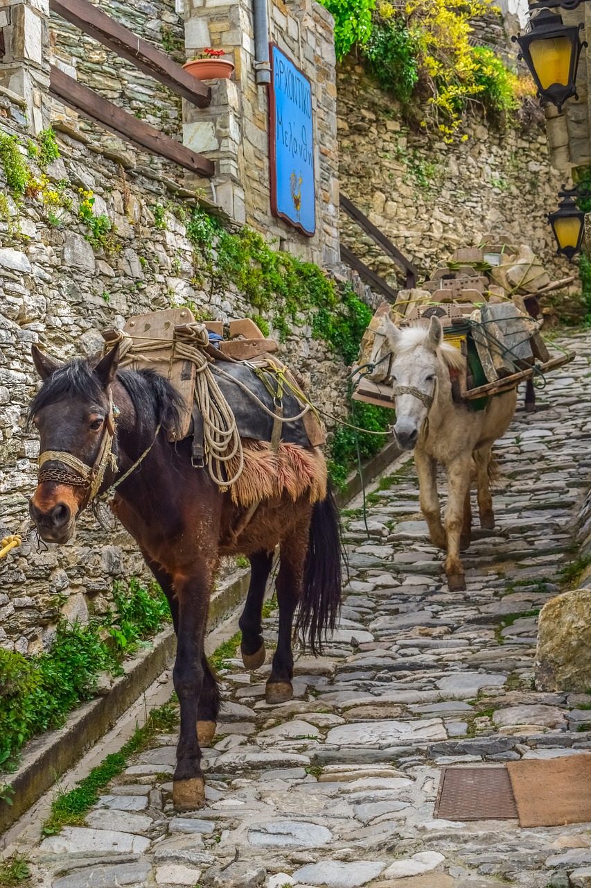 ¡Atiza, costipao!; ¡arrea, que vas por hilo!; ¡el que venga atrás, que ...