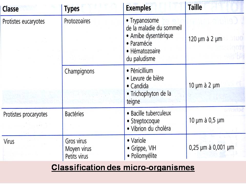 Formation infirmiers: MICROBIOLOGIE - définition