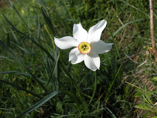 de amores y relaciones: March 2013