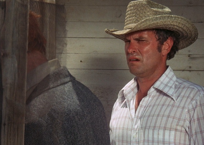 CANON MOVIES: RIP TORN (1931 - 2019) : 17 FILMS