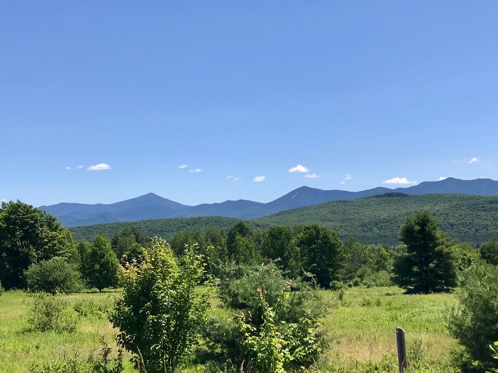 Savich Trek: BUCK POND CAMPGROUND, NY: SECLUDED AND COMFORTABLE!