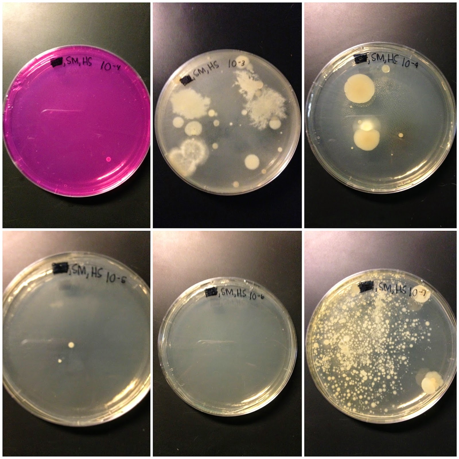 Soil Microbiology : February 2015