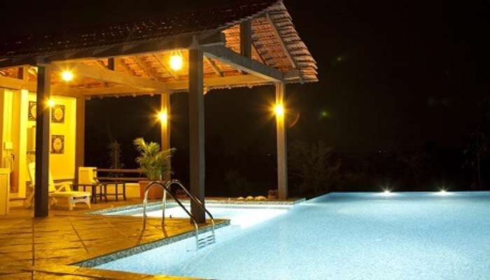 Safari Trip To Tadoba National Park And Best Resorts In Tadoba