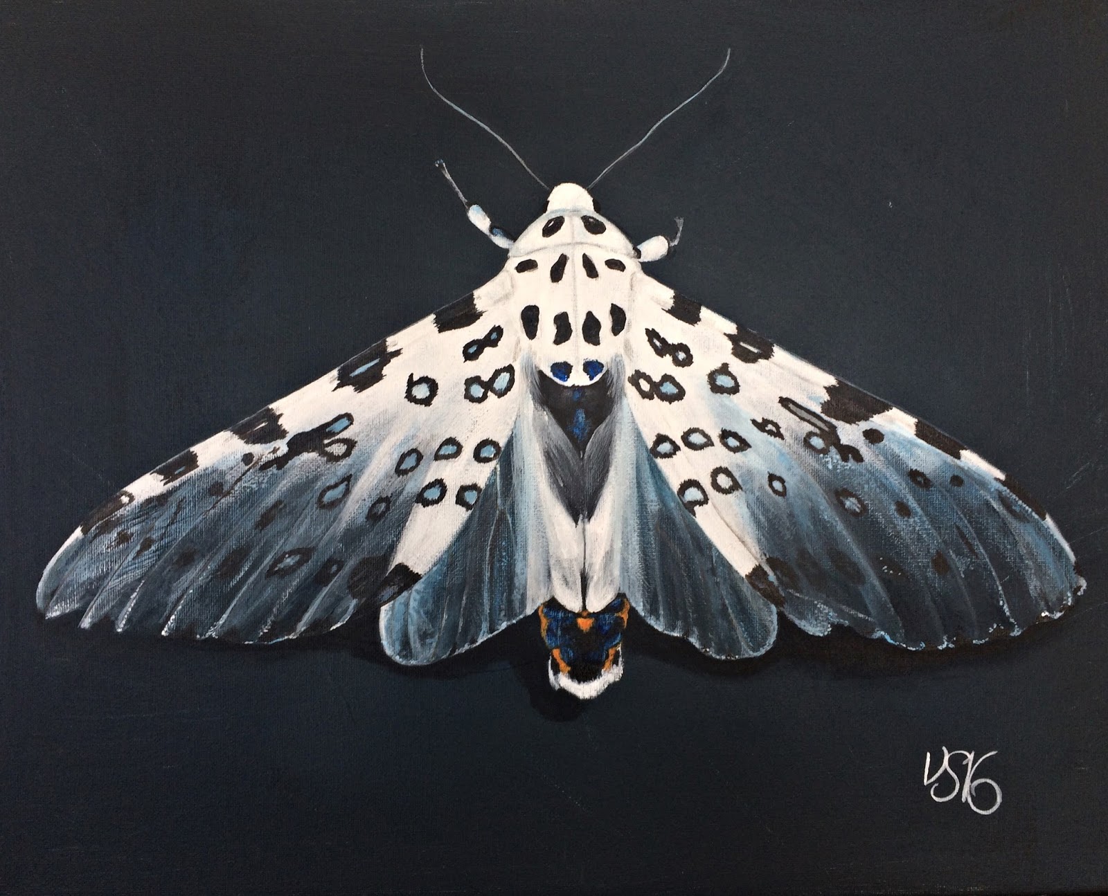 Korennon kuiskaus: Giant Leopard Moth