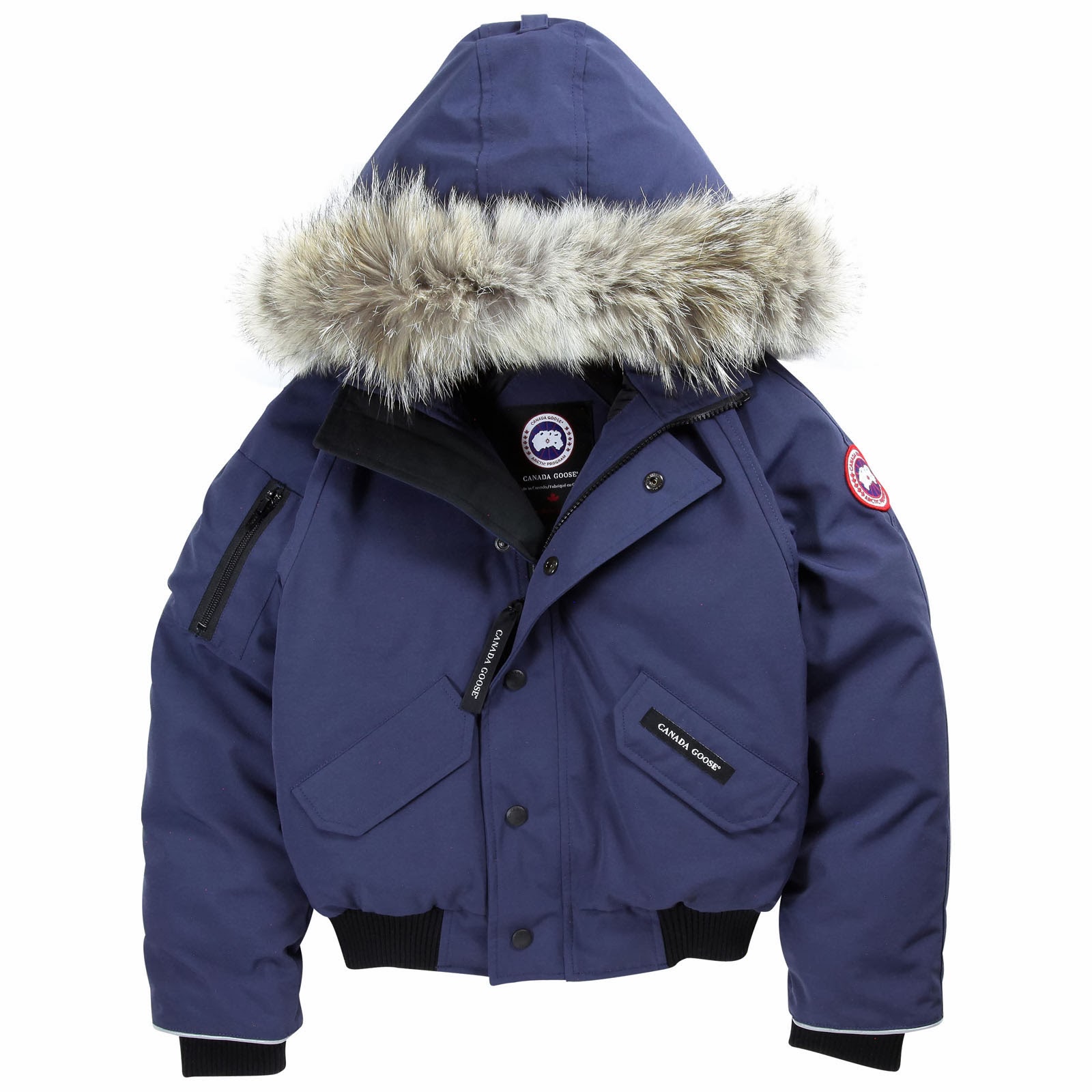 summer-swag: Canada goose