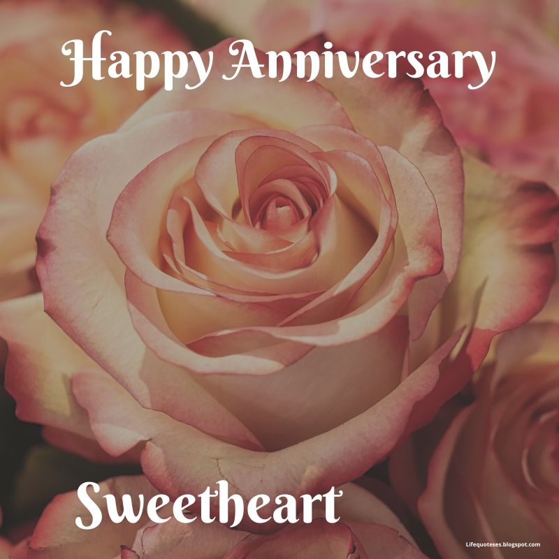 151+ Happy Anniversary Images And Photos Free | HD IMAGES