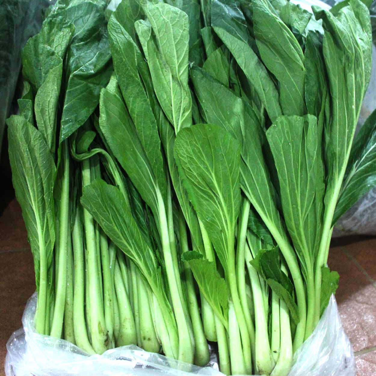 PerSaNik Blog's: Caisim