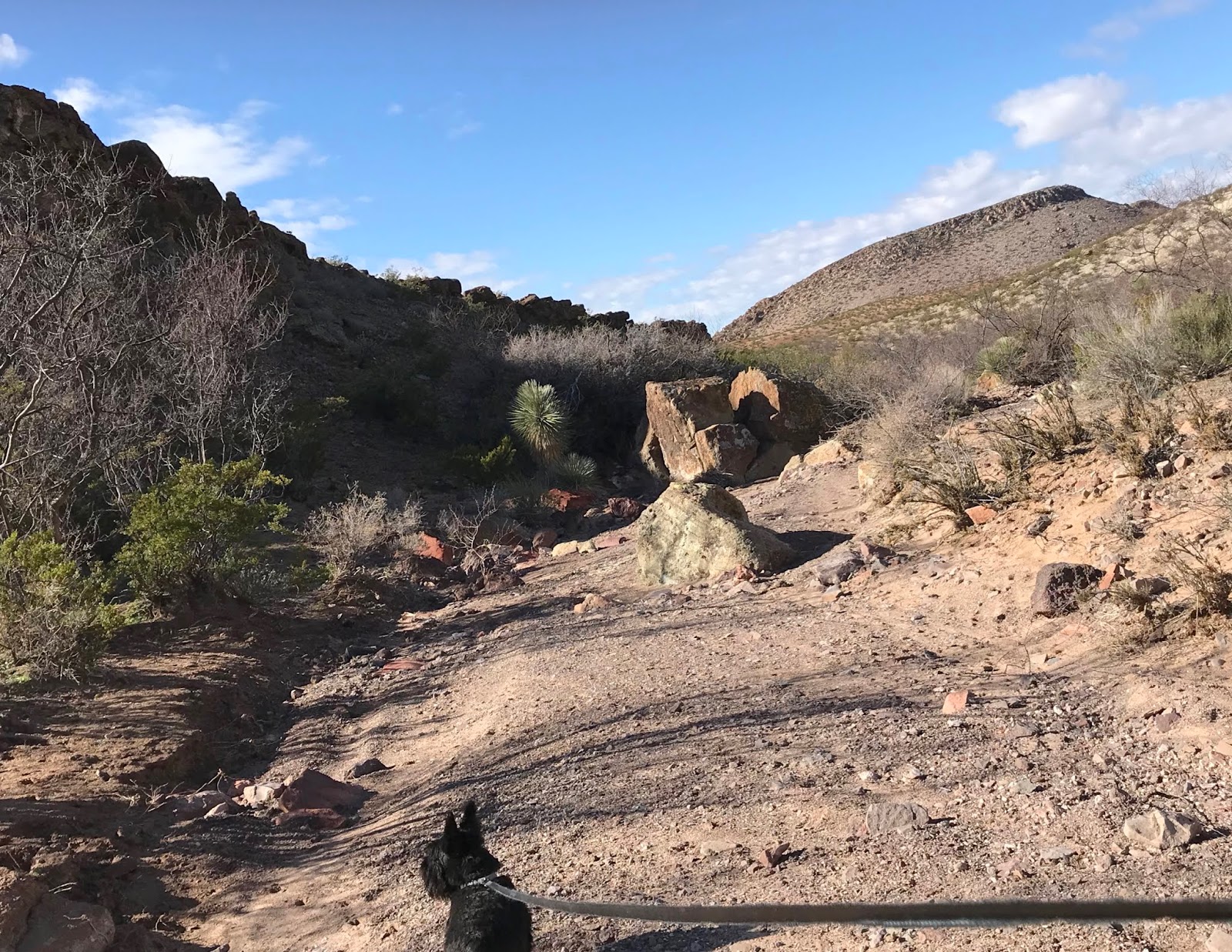 Southern New Mexico Explorer: Rincon Falls - Caballo Mountains