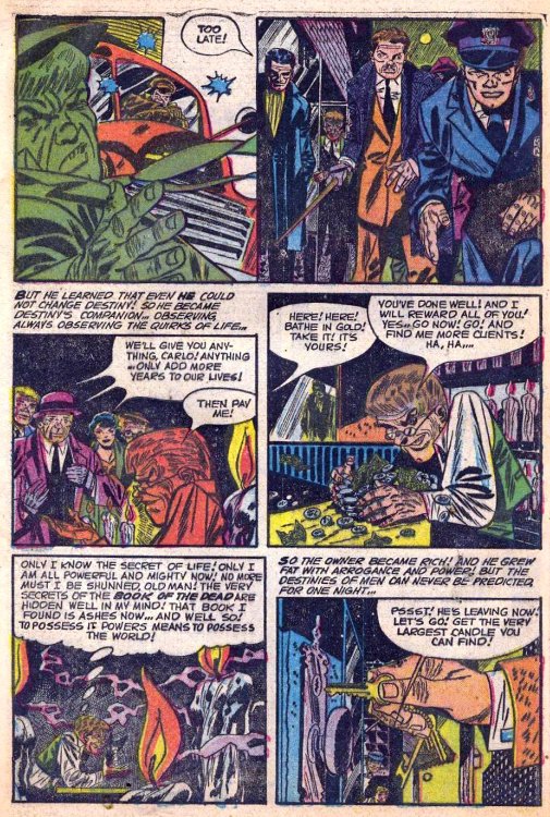 Horrific Hidden Meaning Of The Story for California high school - isowrite